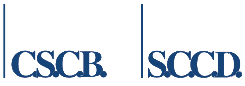 CBSA investigation into importation and possession of prohibited ...